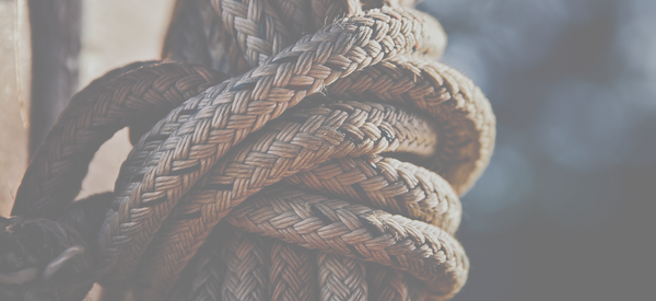 50 Amazing Hemp Facts - Hemplete